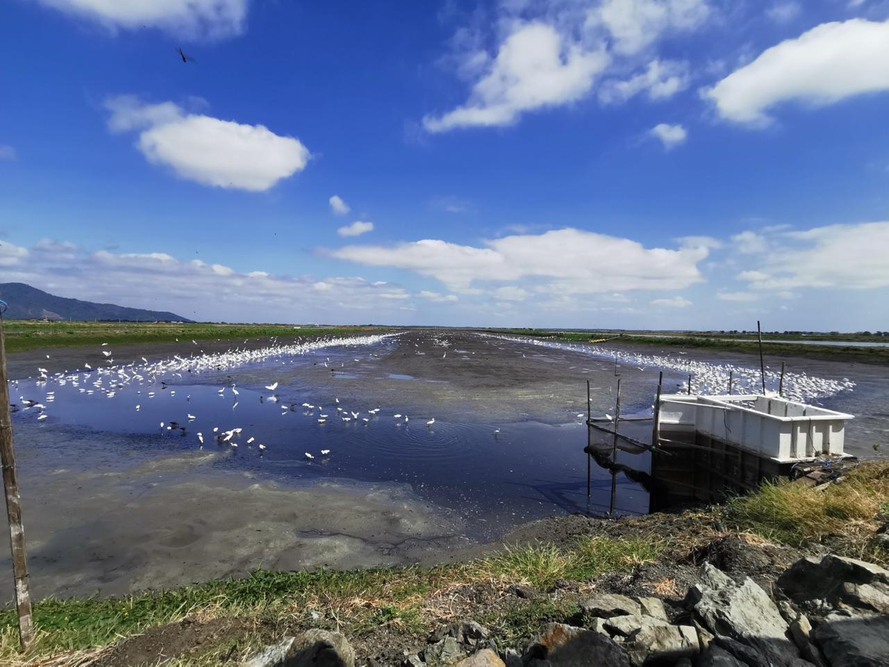 Visita la Parroquia Taura: Joya Turística de Ecuador 🧭
