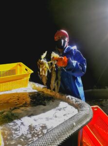 Visita la Parroquia Taura: Joya Turística de Ecuador 🧭