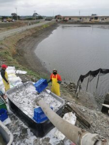 Visita la Parroquia Taura: Joya Turística de Ecuador 🧭