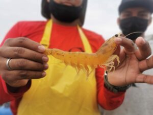 Visita la Parroquia Taura: Joya Turística de Ecuador 🧭
