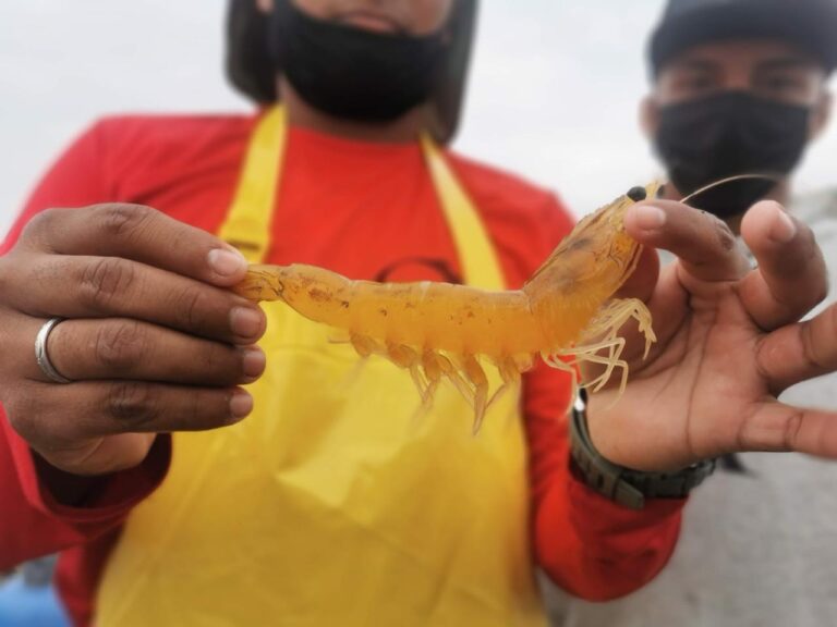 Visita la Parroquia Taura: Joya Turística de Ecuador 🧭