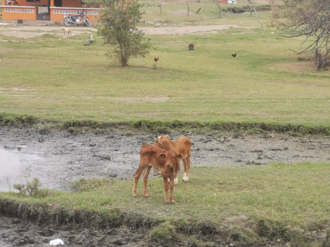 Visita la Parroquia Taura: Joya Turística de Ecuador 🧭
