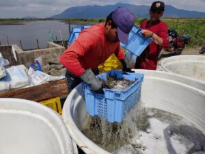 Visita la Parroquia Taura: Joya Turística de Ecuador 🧭