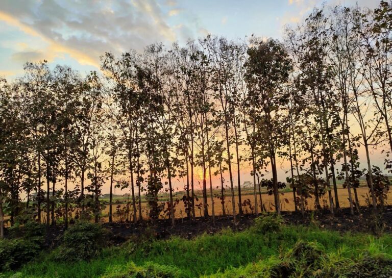 Visita la Parroquia Taura: Joya Turística de Ecuador 🧭
