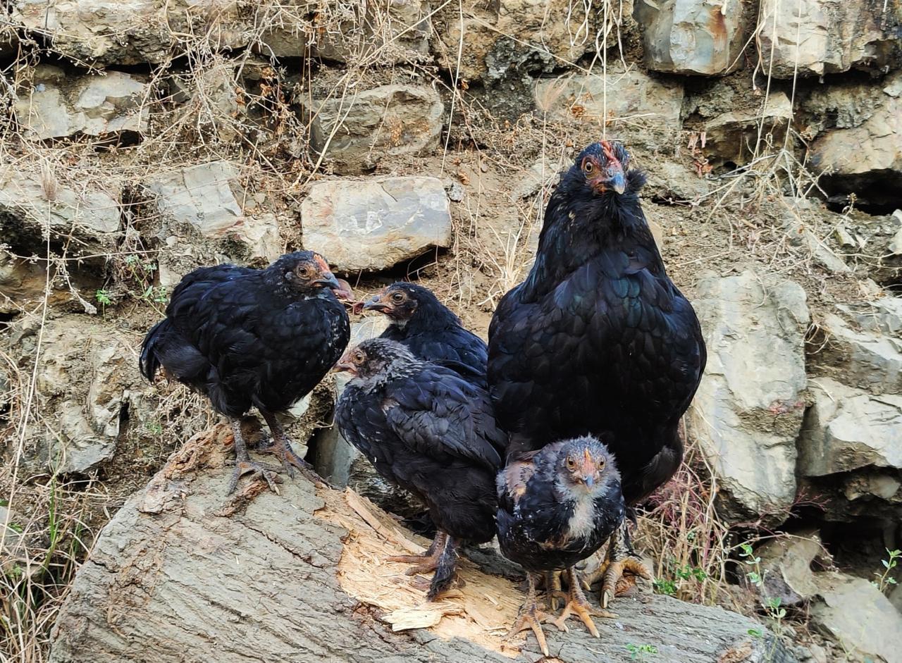 Visita la Parroquia Taura: Joya Turística de Ecuador 🧭