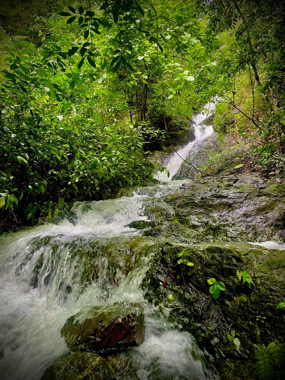 Visita la Parroquia Taura: Joya Turística de Ecuador 🧭