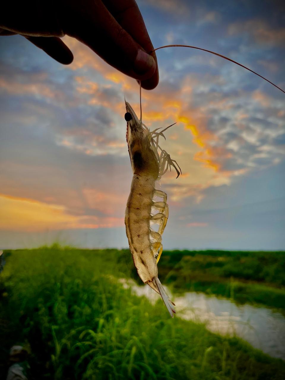 Visita la Parroquia Taura: Joya Turística de Ecuador 🧭