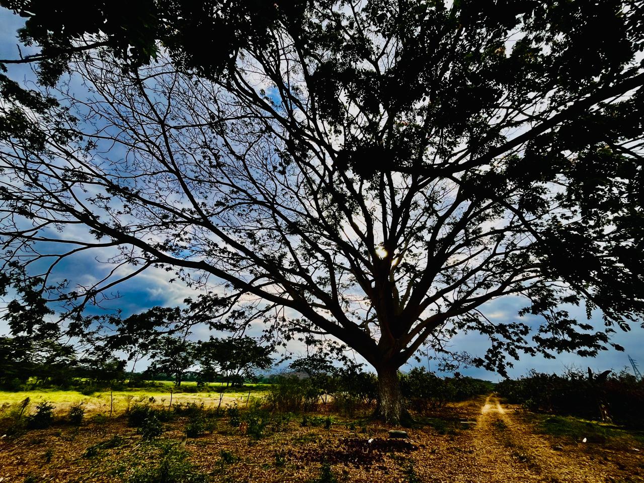 Visita la Parroquia Taura: Joya Turística de Ecuador 🧭