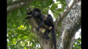 Visita la Parroquia Taura: Joya Turística de Ecuador 🧭